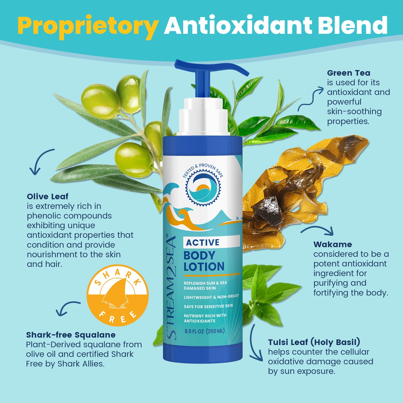 Nourishing Body Lotion - 32 fl. oz. – Stream2Sea